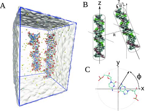 The Geometry Of The Md System A A Snapshot Of The Simulation Box Download Scientific
