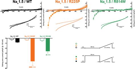 Gating Pore Currents After Long Depolarizations A Currents