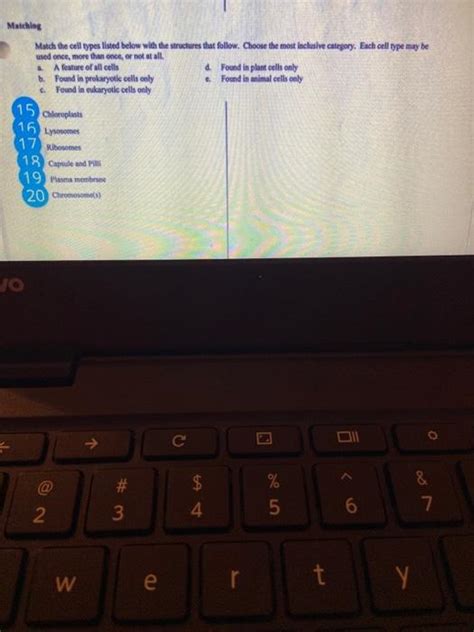 Solved Matching Match The Cell Types Listed Below With The Chegg Com