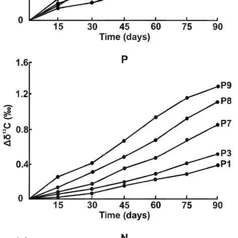 Degradation Of Polymer Plastics Reflected By The Time Dependent