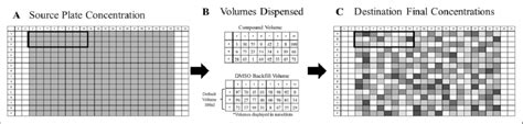 map of a high throughput jump dilution using the dynamic transfer