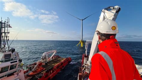 Fowt Floating Offshore Wind Turbines Mooring Systems