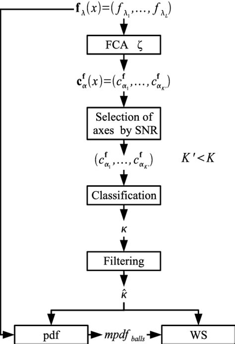 Complete Flowchart For Classification Driven Stochastic Ws With