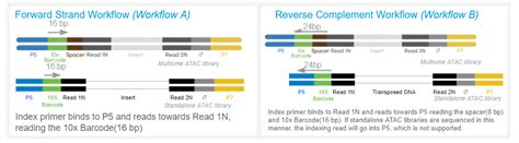 why can i not pool multiome atac and standalone atac libraries on