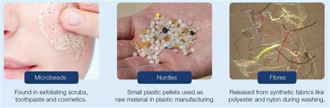 Detoxing Microplastics Newlife Today Malaysia