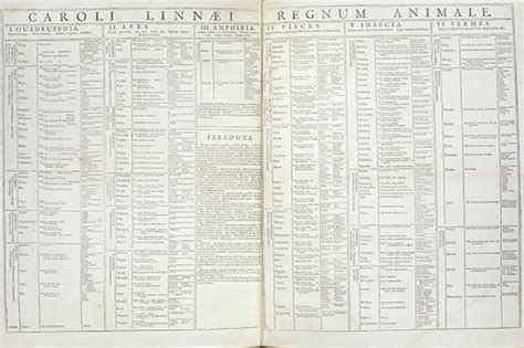 Carolus Linnaeus Classification Taxonomy Contributions Carl Linnaeus