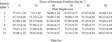 Effects Of Salinity And Potassium Fertilizer Application On Yield