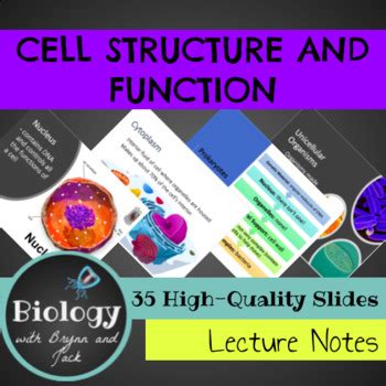 Cell Structure And Function PPT By Biology With Brynn And Jack TPT