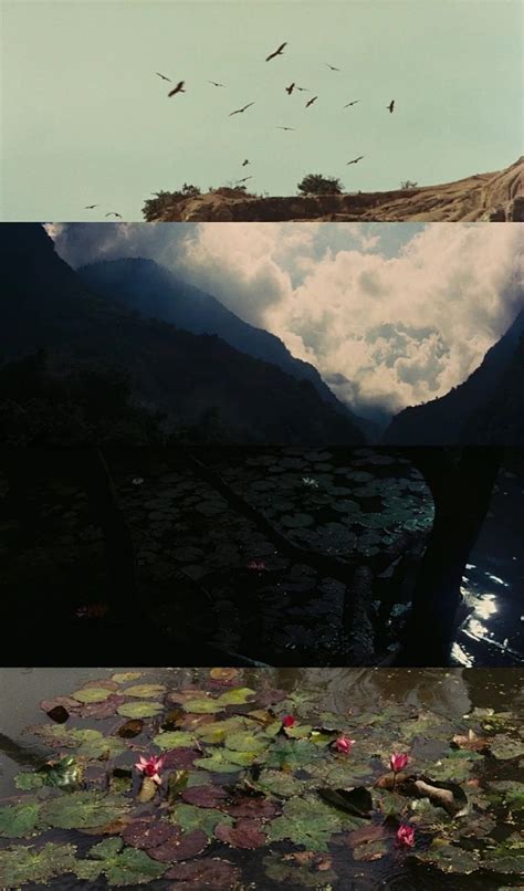 胡金铨搜索结果 微博 花瓣网