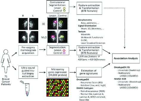 Radiogenomics Pipeline Used In The Analysis Of Association Between Download Scientific Diagram