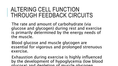 Role Of Female Sex Hormones In Exercise Ppt