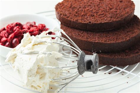 신선한 얇게 썬 스폰지 초콜릿 케이크 비스킷 체리 케이크 조립 공정 케이크 조리법 배경입니다 휘핑 크림과 냉동 체리로 털다