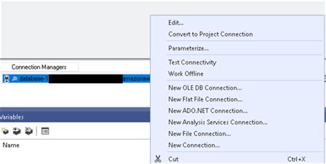 Install And Configure SSIS With Amazon RDS SQL Server