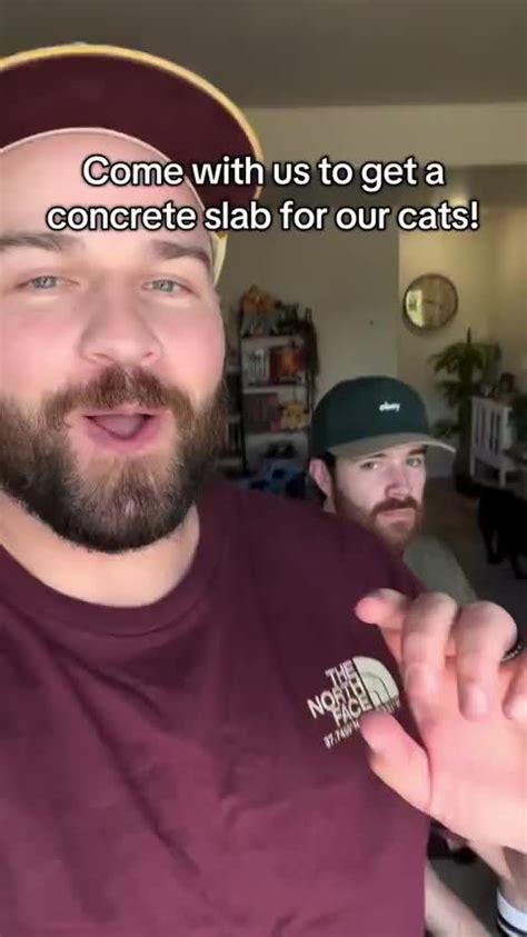 Concrete Slabs For Cats Album On Imgur