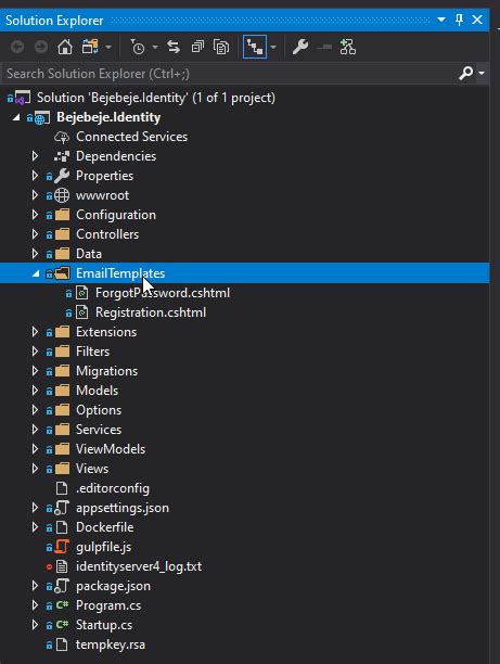 Razor Publish Cshtml Views For Razorlight In Net Core 30 Stack