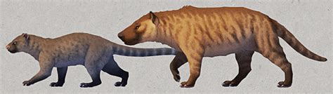 Creodonta Nix Illustration