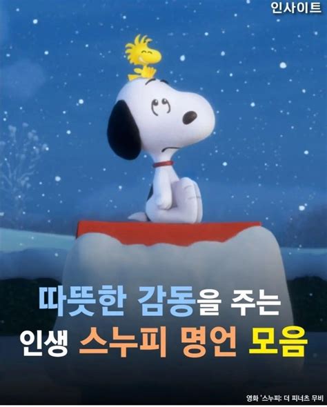 따뜻한 감동을 주는 인생 스누피 명언 모음 중고악기 뮬
