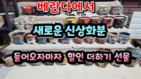 10월 3일 새로운 신상화분 들어왔어요 Youtube