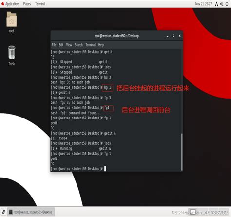 1 6 linux中的进程管理 csdn博客