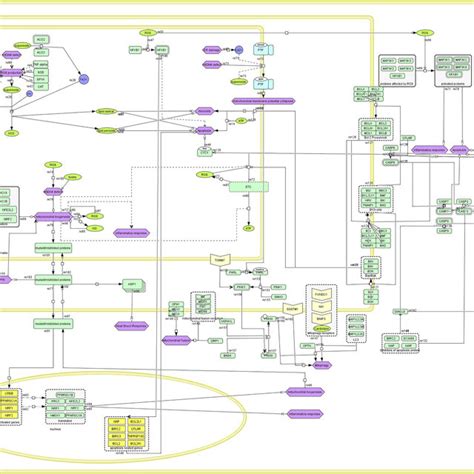 Mitochondrial Dysfunction Progress Description And Activity Flow Download Scientific Diagram