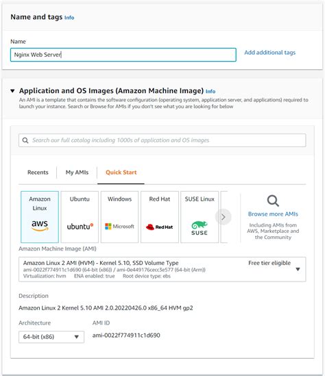 aws launch an ami as a nginx web server by marc coady may 2022
