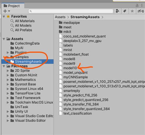 Tensflowlite X Unity Miss Tang Tutorial