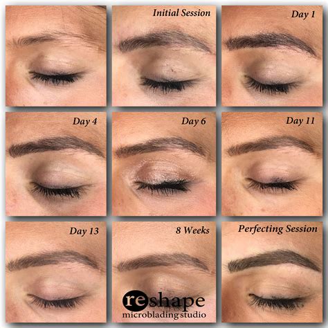 Microblading Healing Chart Ponasa