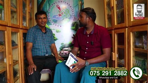 අපේ ගෙවල් වල ඔහේ තියන මල් ඇස් උඩයන ගණන්වලට මිලදීගන්න තැන මෙන්න පිස්සු හැදෙන Youtube