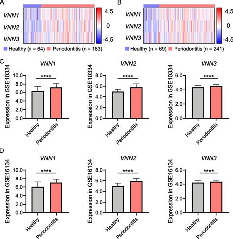 validation of gene expression levels of vnns in datasets a c vnns in