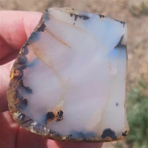 Montana Moss Agate Lapidary Slab