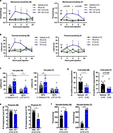 Et Induced Analgesia Does Not Show Significant Sex Dependent Download Scientific Diagram