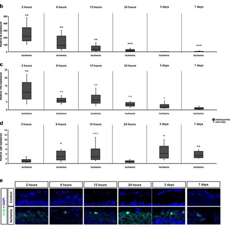 Schematic Overview Of Study Results Retinal Ischemiareperfusion Led