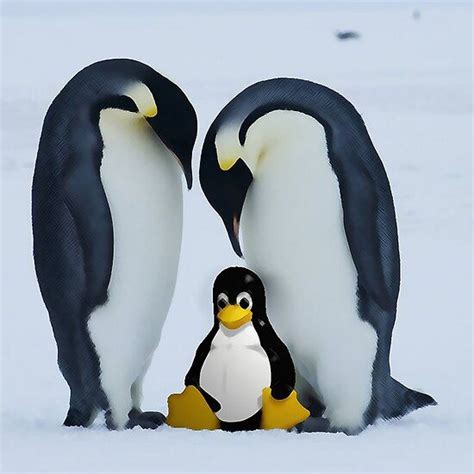 Linux Tux The Penguin By Redbubble