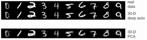 Auto Encoder With Practical Implementation By Amir Ali Wavy Ai
