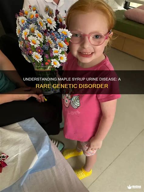 Understanding Maple Syrup Urine Disease A Rare Genetic Disorder Medshun