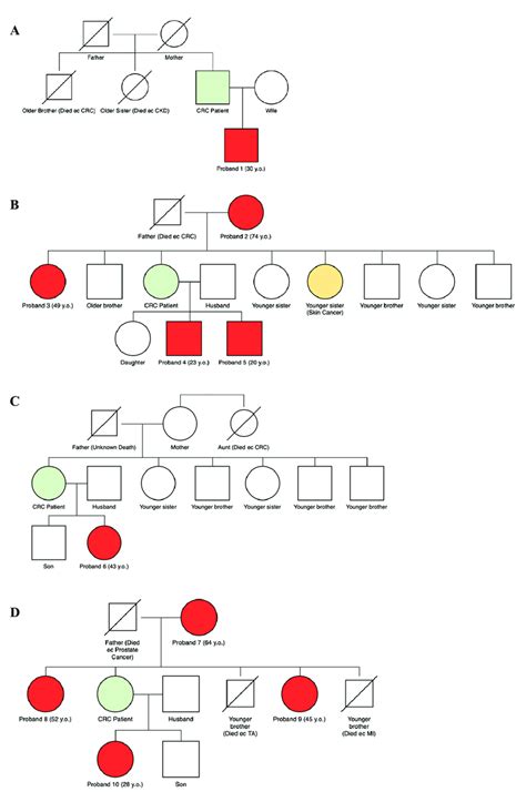 Pedigree Analysis In The Hereditary Crc Patient A Mr A 67 Year Old Download Scientific
