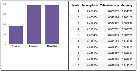 Using Bidirectional Transformer Neural Networks For Advancing Gender Bias Recognition In STEM