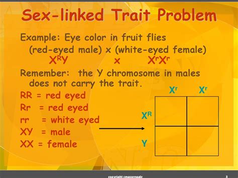 Copyright Cmassengale Ppt Download