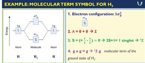 Solved molecule is N and The ground state term symbol Σg I Chegg