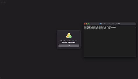 the 13 best macos terminal commands to get the most out of your mac