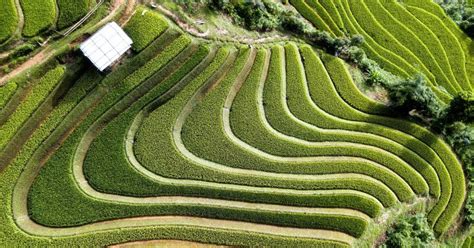 Saurabh Chawla On Linkedin Seismic Livesocial