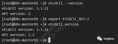 k8s核心组件etcd详解（下） etcd manifest csdn博客