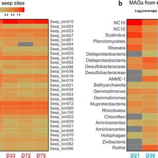 Coverage Of Genome Bins Recovered From A The Seep And B Reference Download Scientific