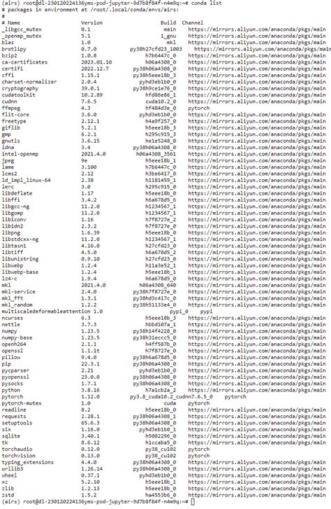 The Dcnv3 Module Cannot Be Installed · Issue 59 · Opengvlab