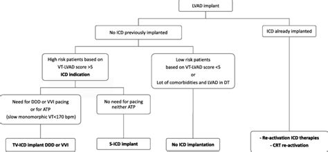 Suggested Algorithm For Decision Making Regarding ICD Implantation In Download Scientific