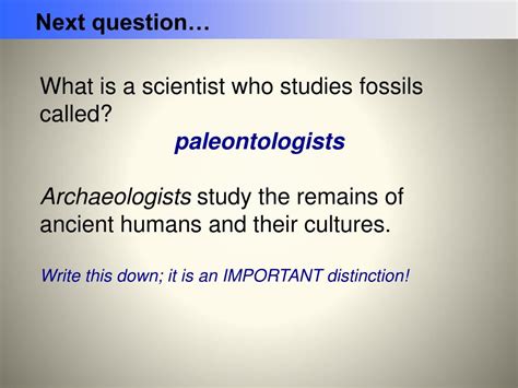 PPT Fossilization And Fossils PowerPoint Presentation Free Download ID 5321153