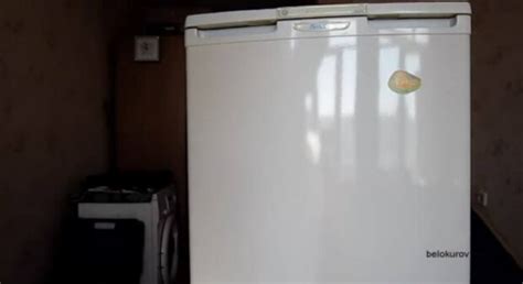 Що треба зробити в холодильнику після відключення світла Читайте на Ukr Net