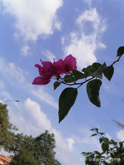 股市一周的回顾 知乎