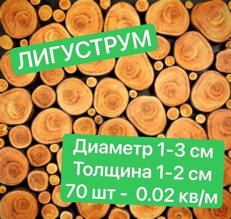 Спилы дерева Лигуструм срезы - купить с доставкой по выгодным ценам в ...