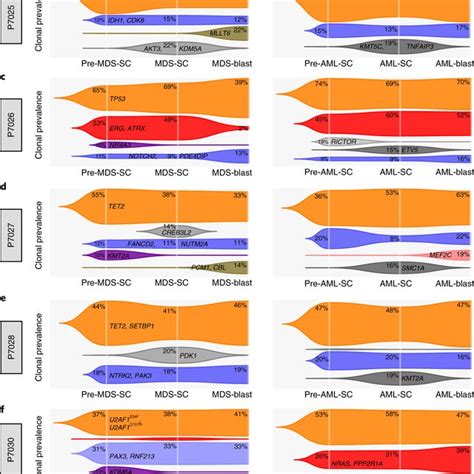 Proposed Model Of Subclonal Evolution Of Stem Cells During The